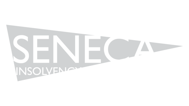 Insolvency Practitioner Standard Procedures | Seneca IP